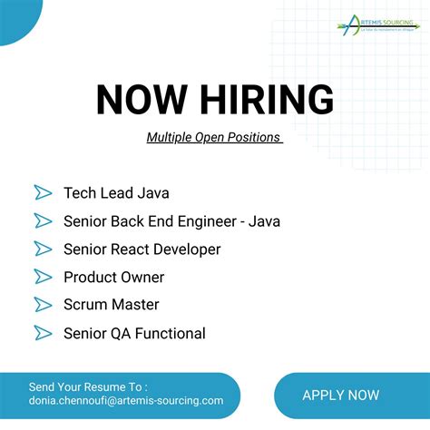 Hiring Iotjobs Java React Techlead Productowner Scrummaster Qa Donia Chennoufi