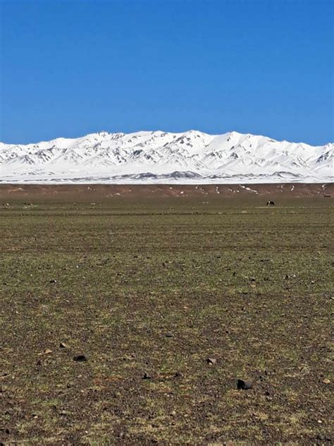 Өмнөговь Ажлын зар Мэдээ