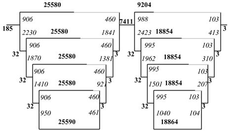 Execution Profile Of The Wang Algorithm On A Five Processor System Download Scientific Diagram