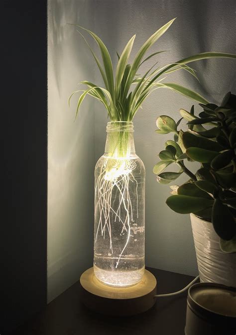 2 For 1 Rpropagation