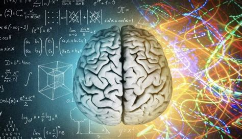 آخرین خبر ظرفیت شگفت‌انگیز مغز انسان ۱۰ برابر بیشتر از تصورات پیشین