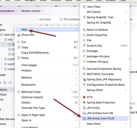 Working With DTOs Amplicode Documentation