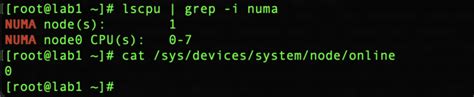 Assign A Process To A Specific Cpu In A Numa Node Blog By Jay