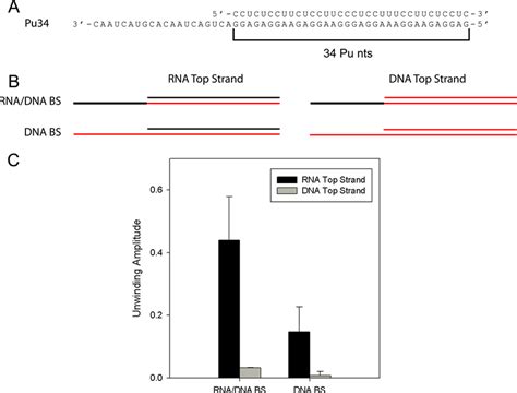 Nph Ii Unwinds Dnarna Duplexes But Not Dnadna Duplexes A Substrate Download Scientific