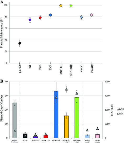 A Plasmid Maintenance Of The Seven Plasmid Variants In Ancestral Download Scientific