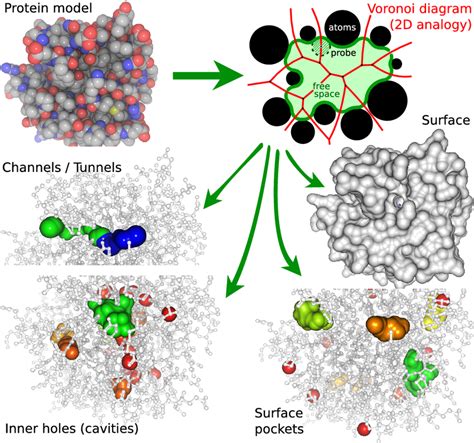 The Additively Weighted Voronoi Diagram And Its Various Applications