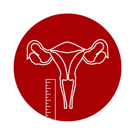 How To Measure Your Cervix And Why Vampire Shot Glass