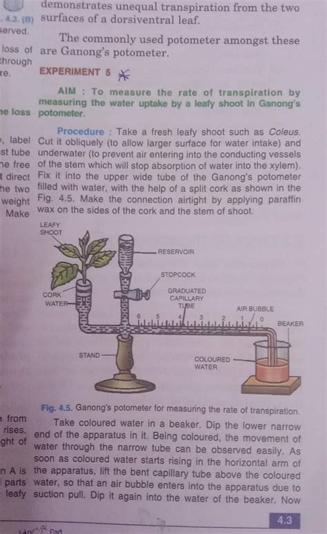 43 B Surfaces Of A Dorsiventral Leaf The Commonly Used Potometer Amo