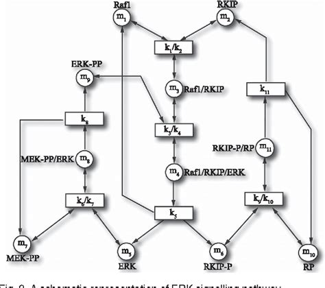 Figure 1 From A Multi State Optimization Framework For Parameter