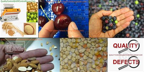 Defect Sorting Service