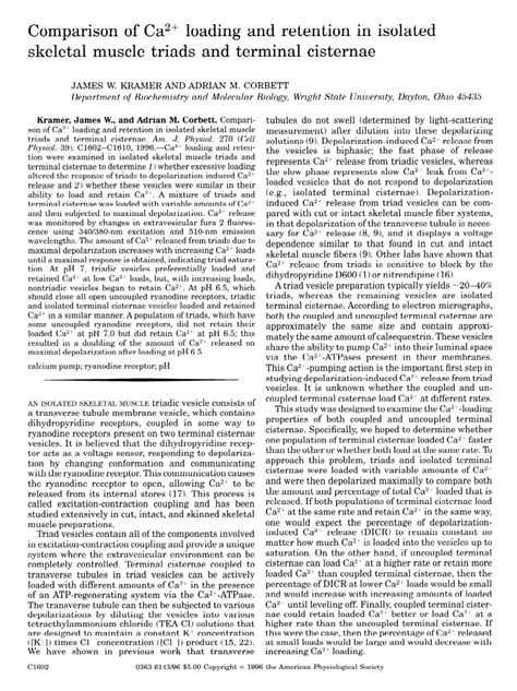 Pdf Comparison Of Ca2 Loading And Retention In Isolated Skeletal Muscle Triads And Terminal