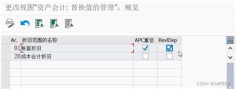 【学习笔记】sap固定资产的减值功能 sap固定资产原值减少怎么做 csdn博客