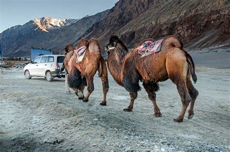 Experiment With Shutter Speed Photography Rule 12 Dont Be Afraid To Play With The Shutter