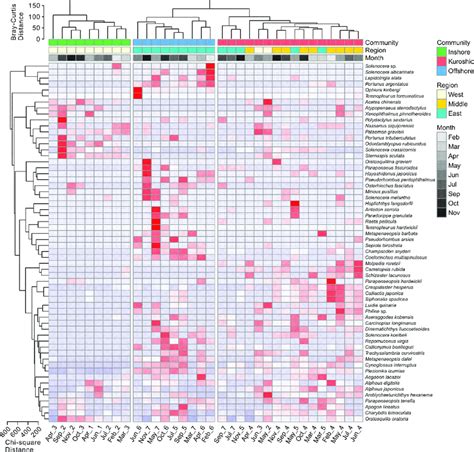 the distribution of macrofauna in the sampling sites the dendrogram