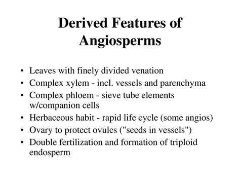 Angiosperm Definition Examples And Significance