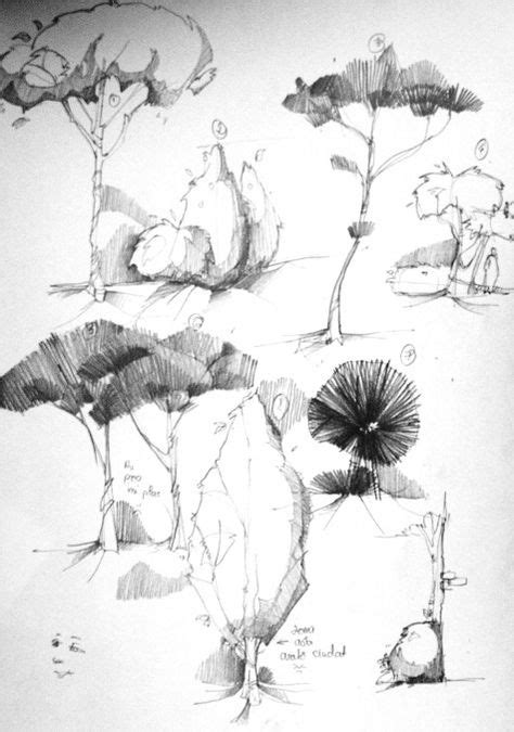 73 hình ảnh đẹp nhất về tree sketch Phong cảnh Cây Nghệ thuật