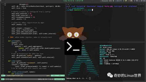 Kitty 又一款基于 Gpu 加速的终端工具 Csdn博客