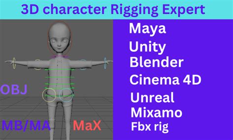 Do D Character Rigging In Maya Cinema D Blender And Unity By Abdul Ghaffar Fiverr