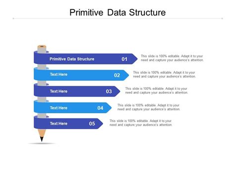 Primitive Data Structure Ppt Powerpoint Presentation Portfolio Show Cpb Powerpoint Slides