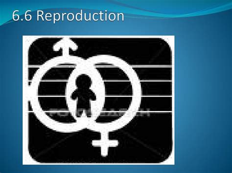 PPT 6 6 Reproduction PowerPoint Presentation Free Download ID 2014735