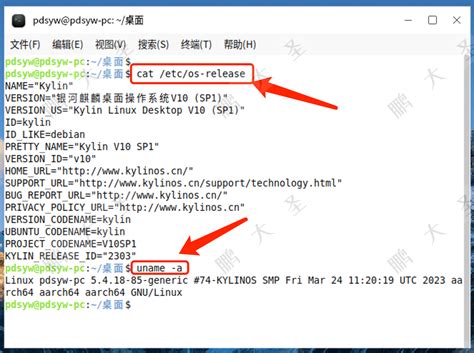 麒麟桌面系统cve 2024 1086漏洞修复 麒麟漏洞 csdn博客