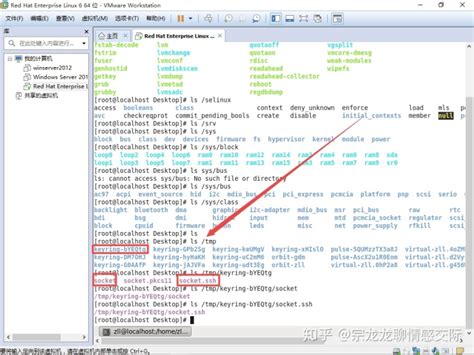 linux没有usr目录 了解linux系统目录，sys tmp usr var！ csdn博客