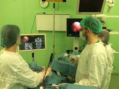 Навигационная система Kick апробация Евромедмаркет официальный дистрибьютор Brainlab в