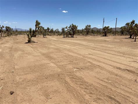 Joshua Tree Forest Hipcamp In Dolan Springs Arizona