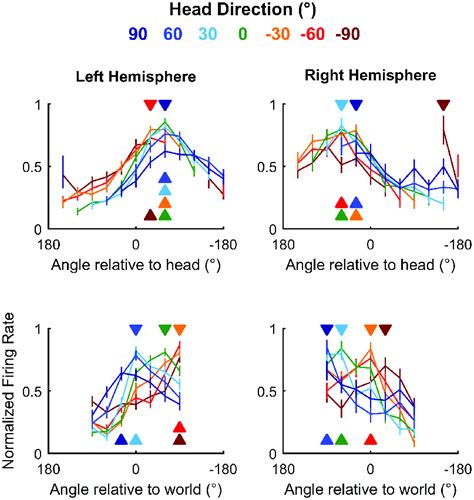 Auditory Cortical Tuning Population Tuning Curves Plotted Across Head Download Scientific