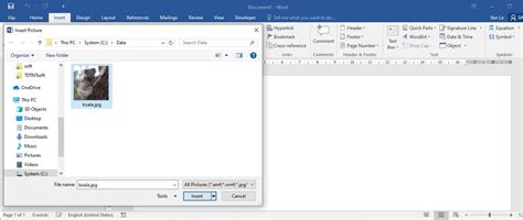 How To Get The Name And The Path Of The Picture I Ve Just Inserted To Document MS Word By C
