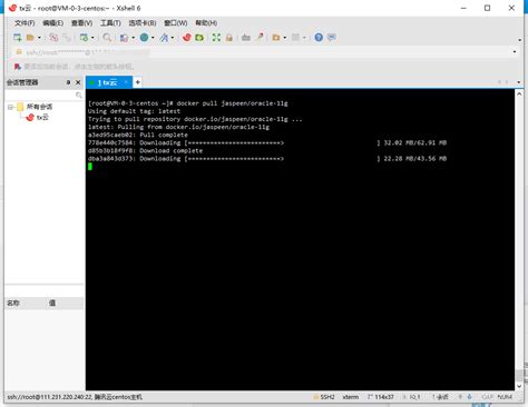 linux上oracle 11g安装步骤图解 超详细图文教程 附带导入数据和新建数据库教程 bluegoing 博客园
