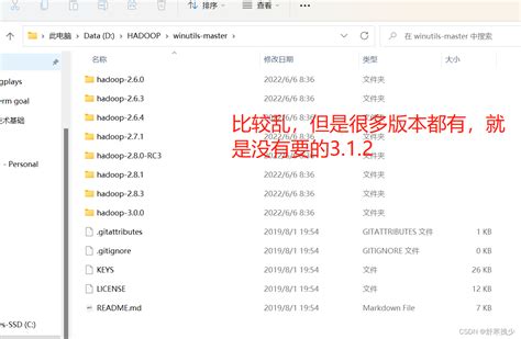 exception in thread “main“ java lang unsatisfiedlinkerror org apache