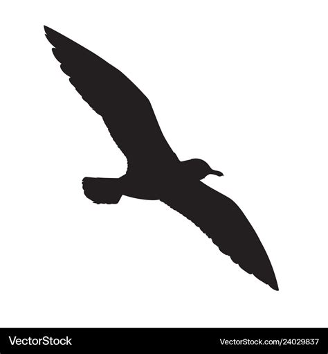 Flying Seagull Silhouette Royalty Free Vector Image