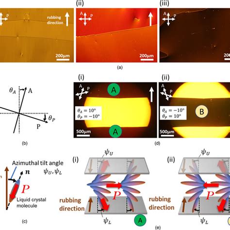 Experimental Results And The Polarization Model In Anti Parallel Cells Download Scientific
