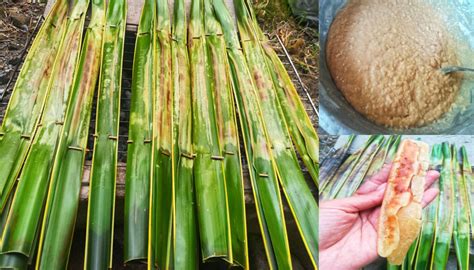 วิธีทำ ขนมจาก ขนมไทย หาทานยาก เนื้อนุ่ม หอม หวาน Ideapunsuk