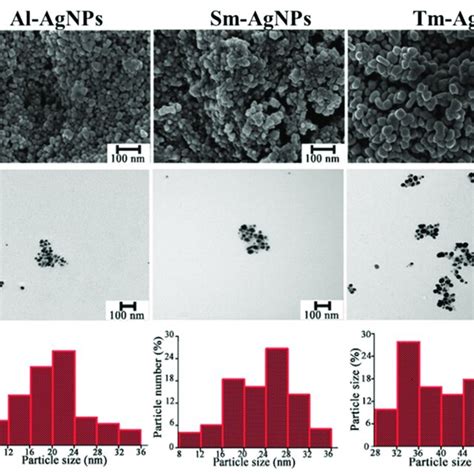 Morphology And Size Of Al Agnps Sm Agnps And Tm Agnps Scale Bar Download Scientific