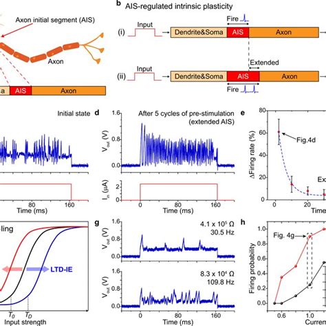 Intrinsic Plasticity And Synergistic Concomitance In Ts Pcm A Download Scientific Diagram