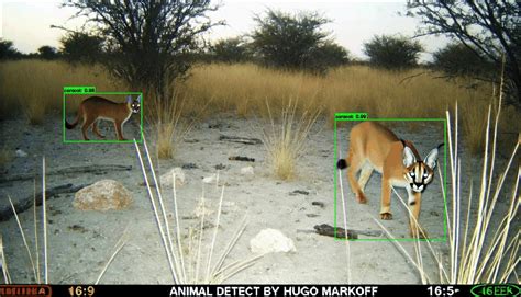 Let Ai Generate Your Missing Dataset