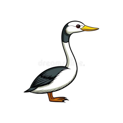 Grebe Illustration Stock Illustrations 2 263 Grebe Illustration Stock