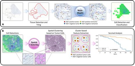 Workflow Of The Proposed Ai Pipeline For Stratifying High And Low Risk Download Scientific