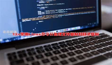 10常用linux命令行处理文件复制和目录复制老蒋部落