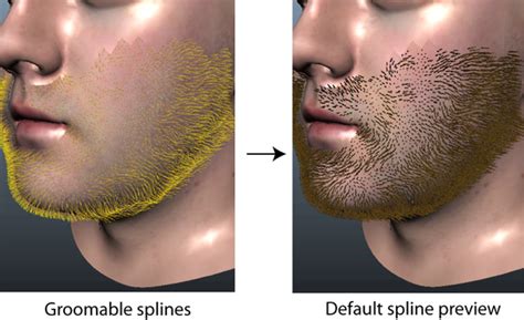 Groomable Splines