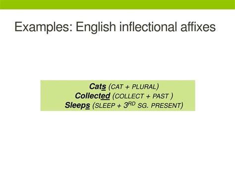 Ppt Linguistic Preliminaries Part Ii Intro To Morphosyntax Powerpoint Presentation Id 1400910