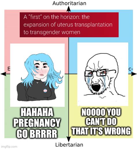 Just Another Auth Right L Rpoliticalcompassmemes