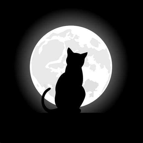 pluto s lab youtube