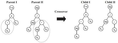Typical Crossover Operation In Genetic Programming Download