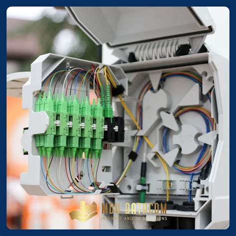 Wifi Network Auditing