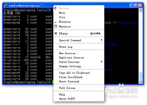 putty使用技巧 putty中 csdn博客