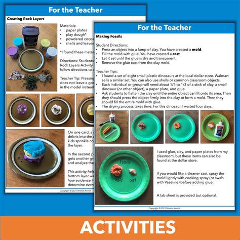 Teaching About Fossils Evidence In Layers Of Sedimentary Rock