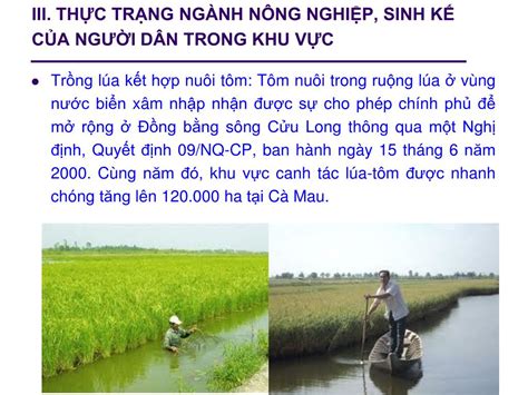 Ppt Nh Gi T C Ng C A Bi N I Kh H U I V I Ng Nh N Ng Nghi P C Mau Powerpoint